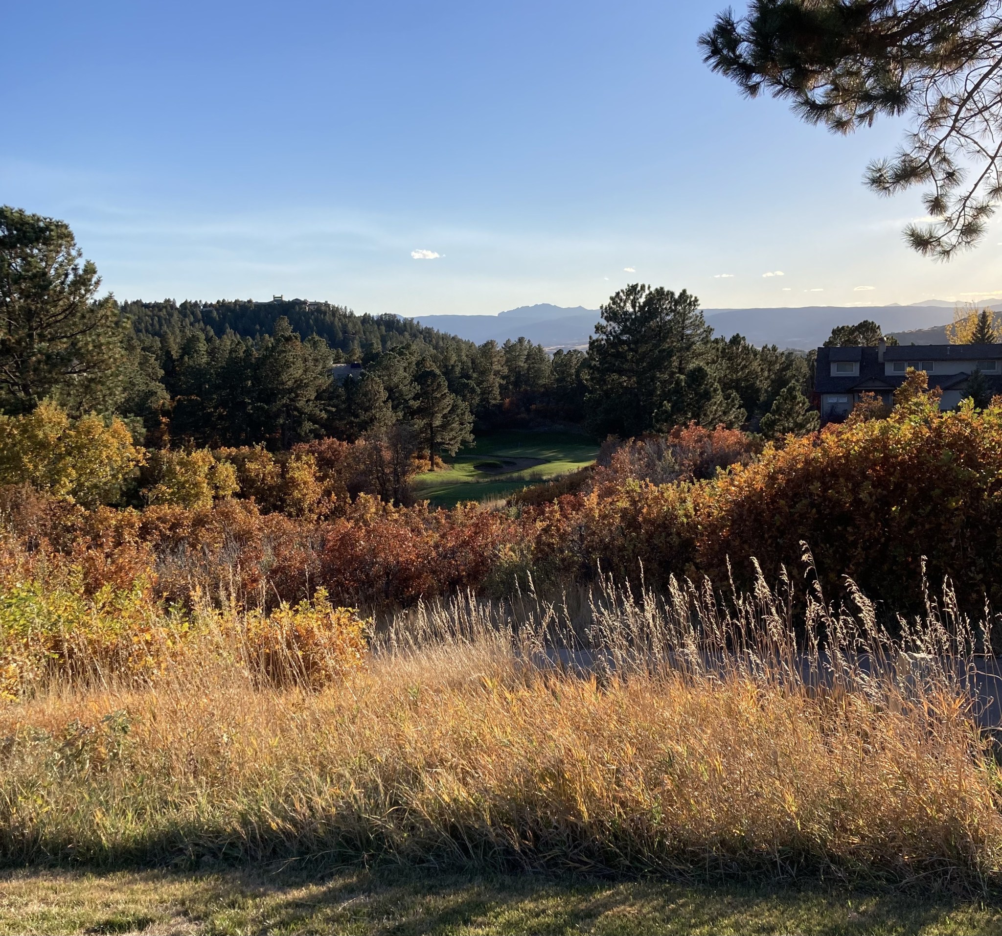 The Ridge at Castle Pines North – Layman's Hall